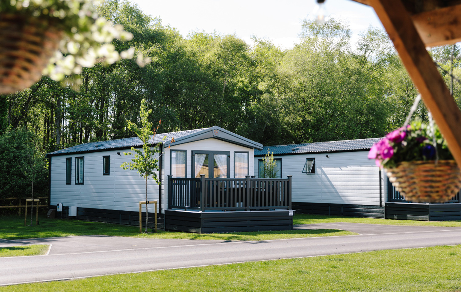 Coastal vs. Forest: UK Holiday Homes to Buy with Lovat Parks | Lovat Parks