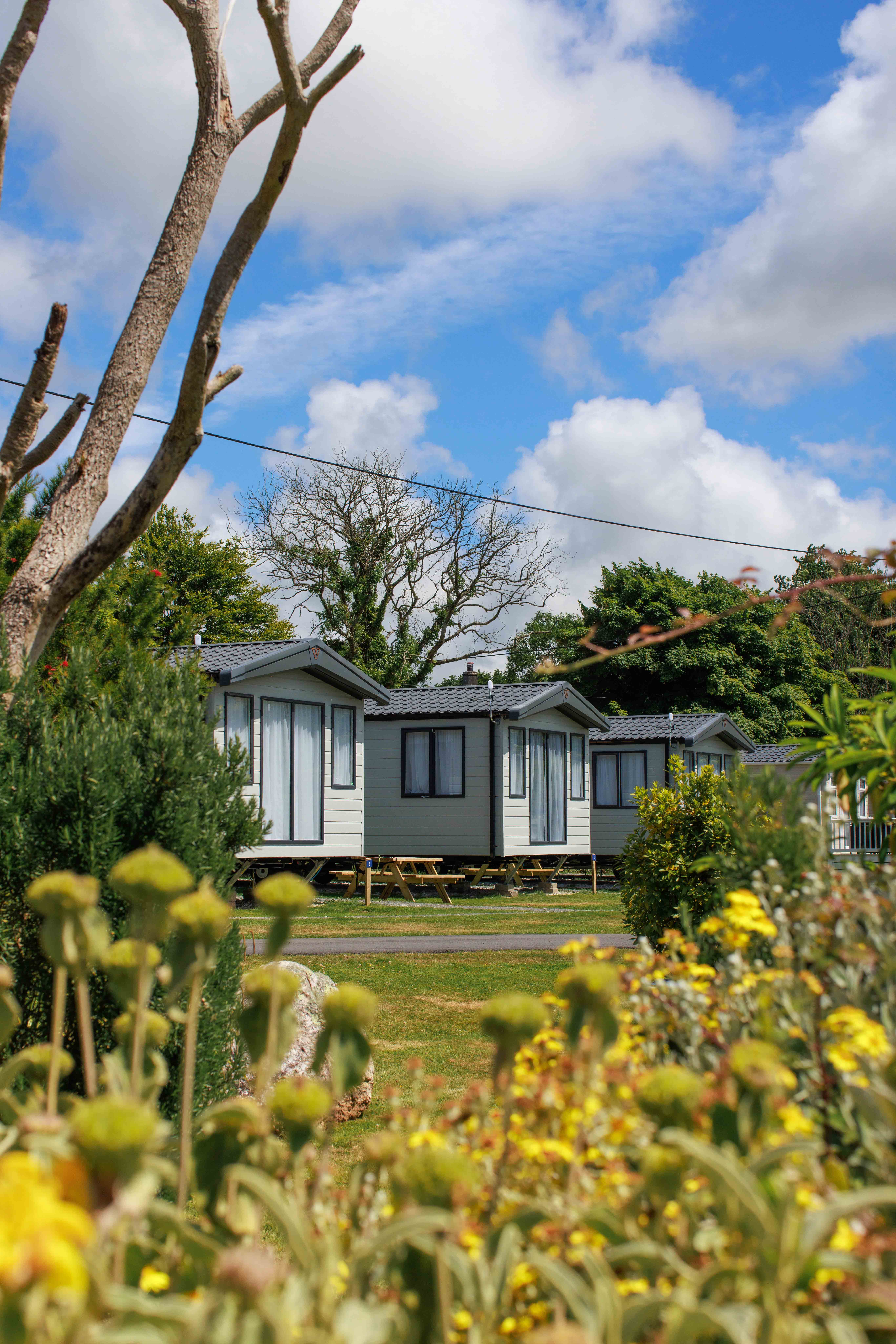 Luxury Lodge Holidays in Cornwall 2026 | Lovat Parks