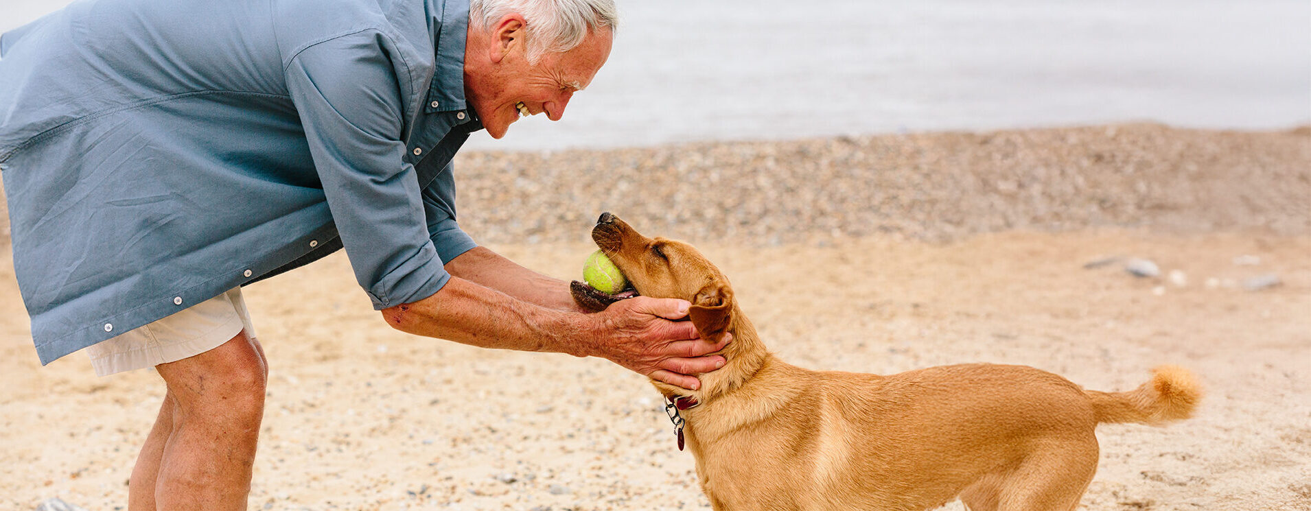 Top 7 Dog Friendly Things to Do in Suffolk | Lovat Parks
