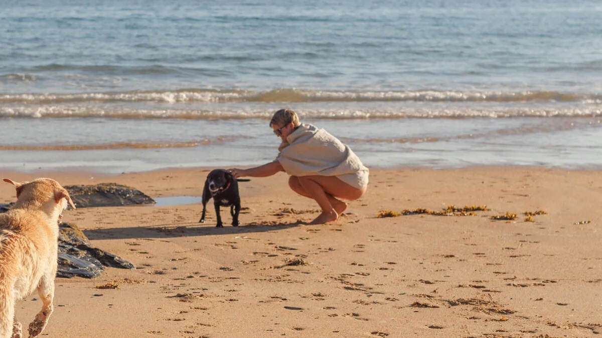 Get To Know Us | About | Lovat Parks