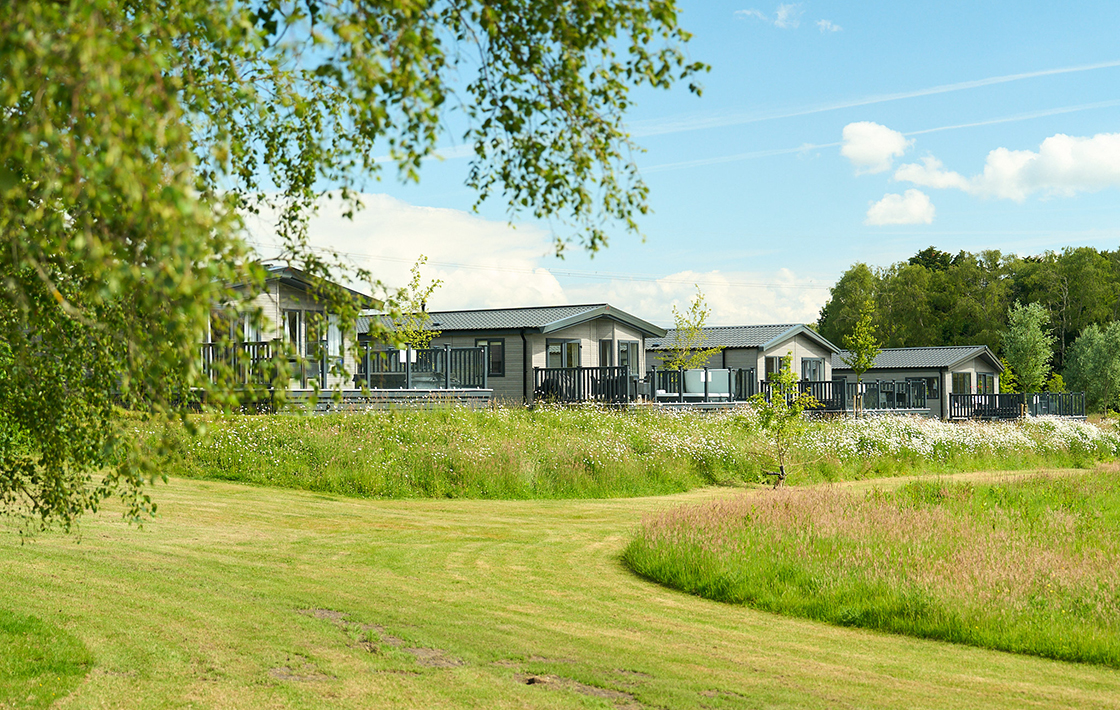 10 Reasons To Stay In A Forest Lodge | Lovat Parks