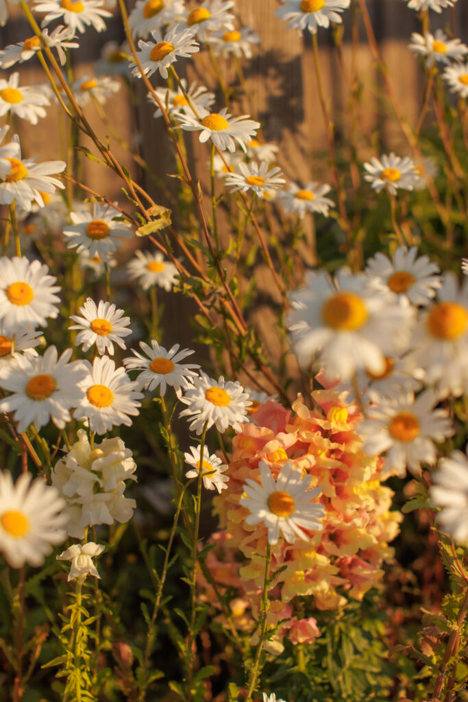 Guide to Holiday Home Ownership Across Cornwall, Norfolk, New Forest | Lovat Parks