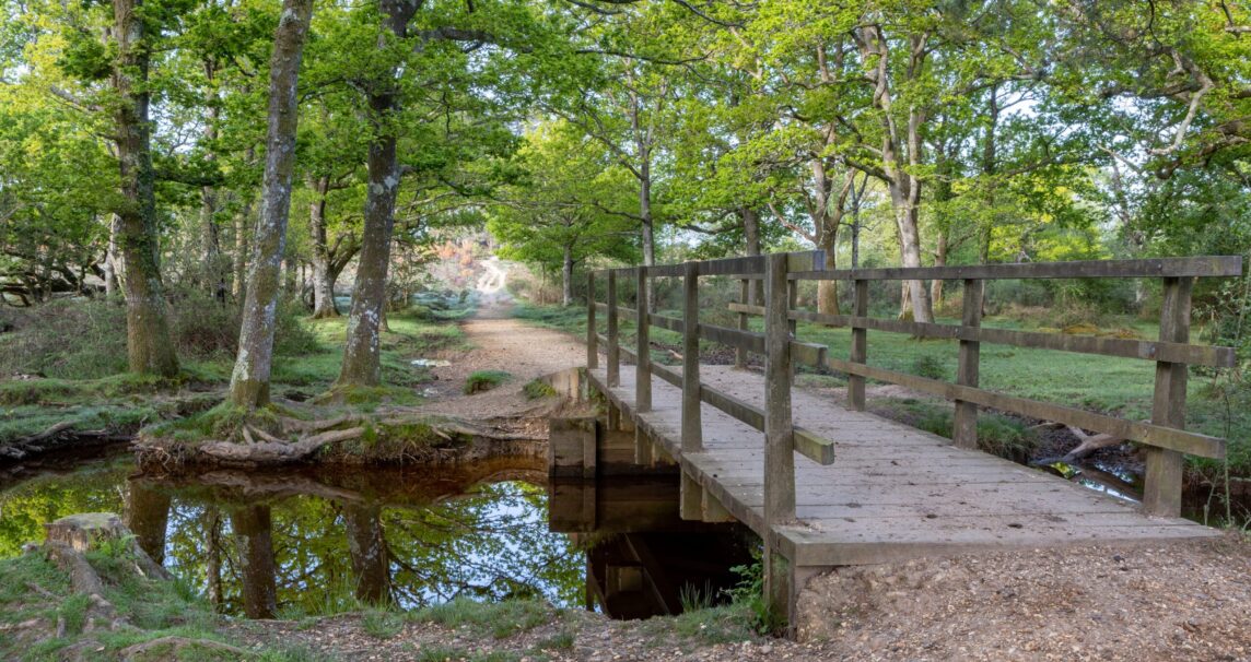 The Best Villages & Towns to Visit in the New Forest