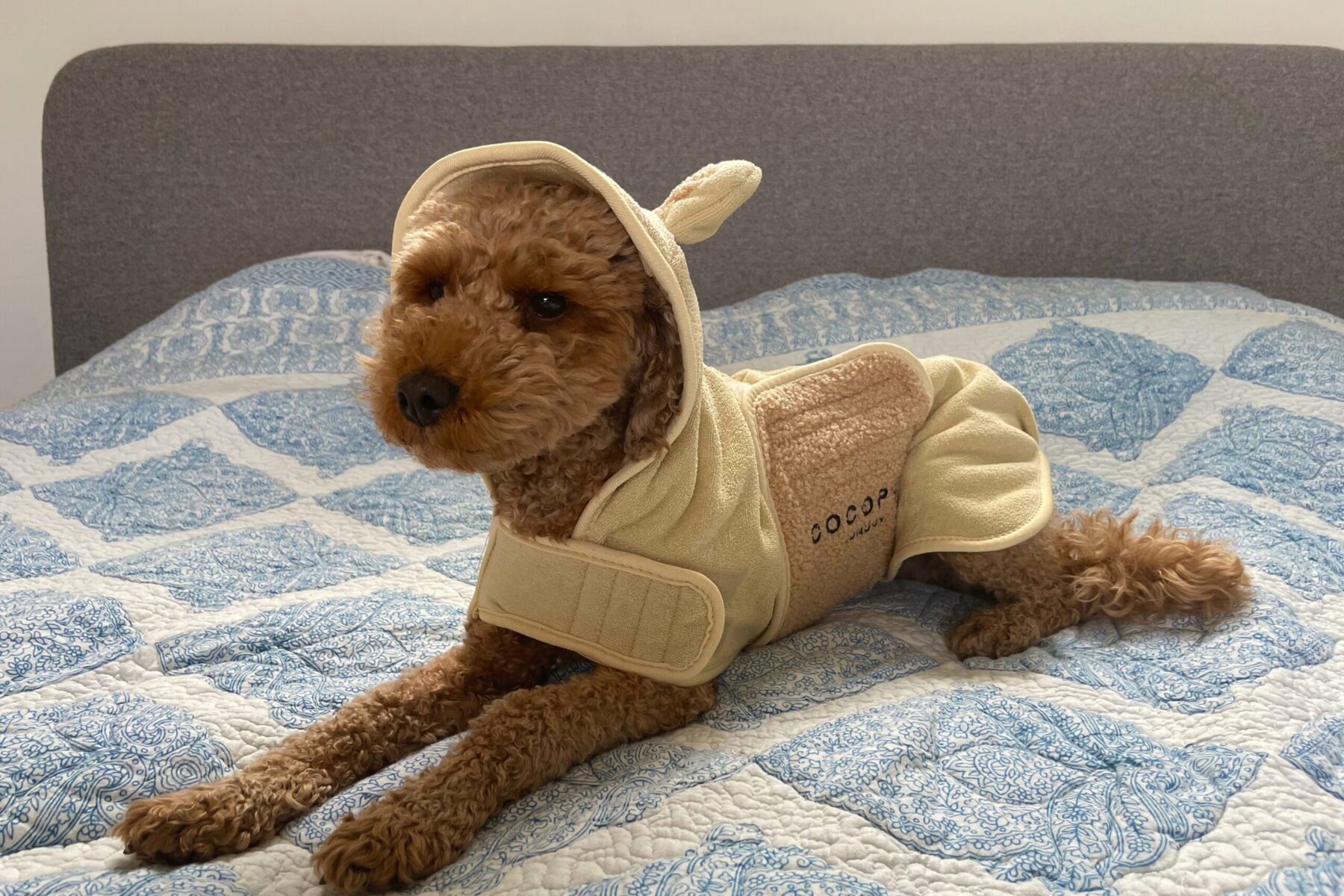 FREE Cocopup robe with stays at Green Hill Farm | Lovat Parks