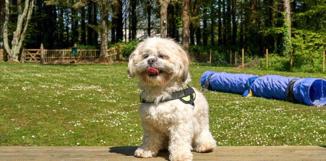 Our Beautiful Holiday Park Locations | Lovat Parks