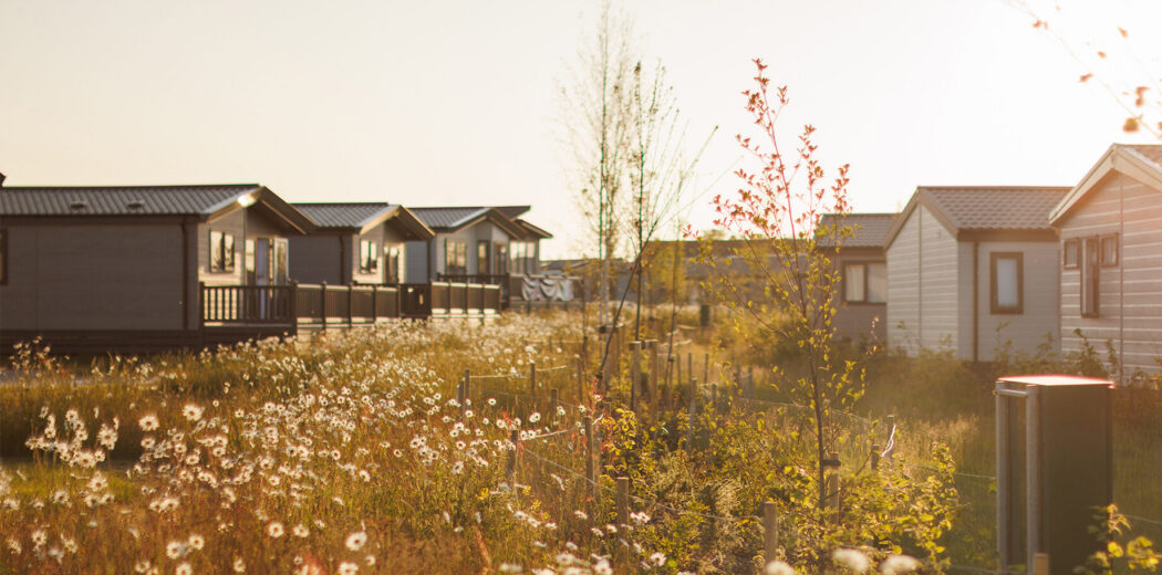Luxury Lodge Holidays at Cornish Meadows Holiday Park 2026 | Lovat Parks