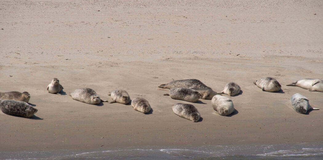 10 romantic UK short break ideas for couples | Lovat Parks