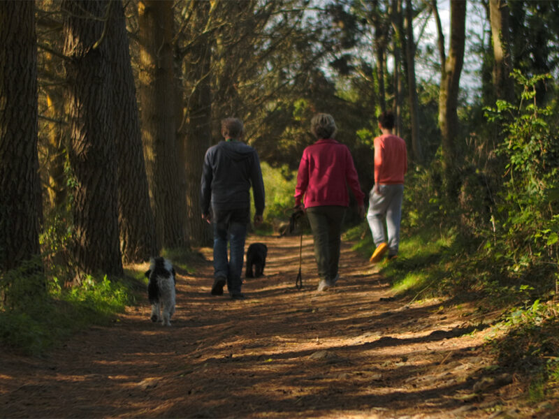 Arrange a Park Visit | Lovat Parks