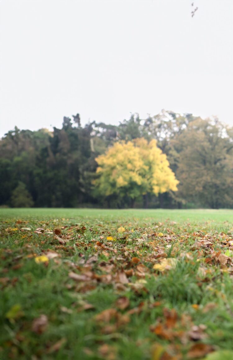 Luxury UK Holiday Parks at Lovat Parks