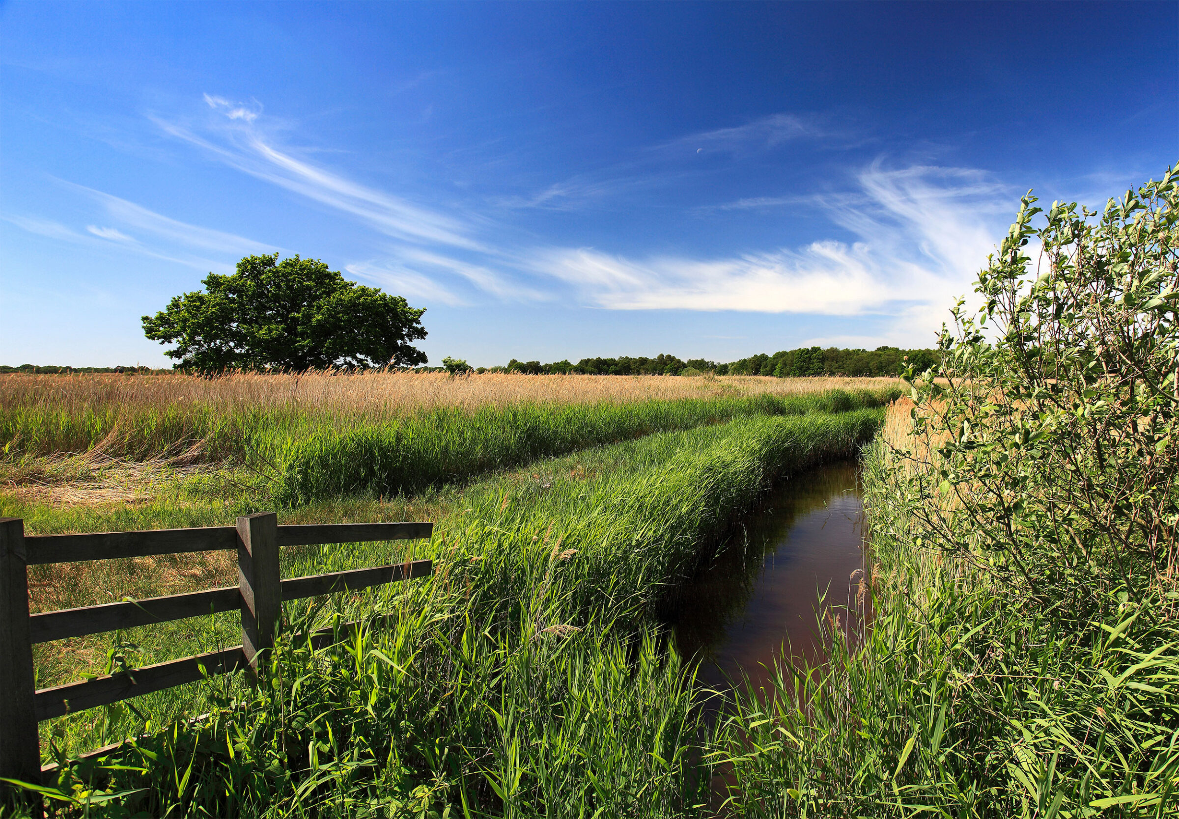 Luxury Holiday Lodges for Sale at Azure Seas Holiday Park, Suffolk