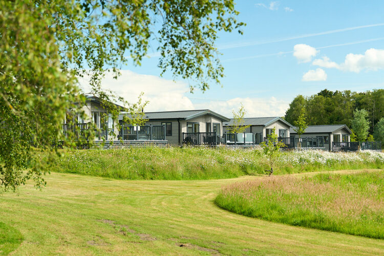 10 Reasons To Stay In A Forest Lodge | Lovat Parks