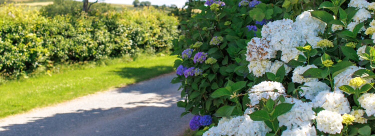 Spring 202X | Lovat Parks