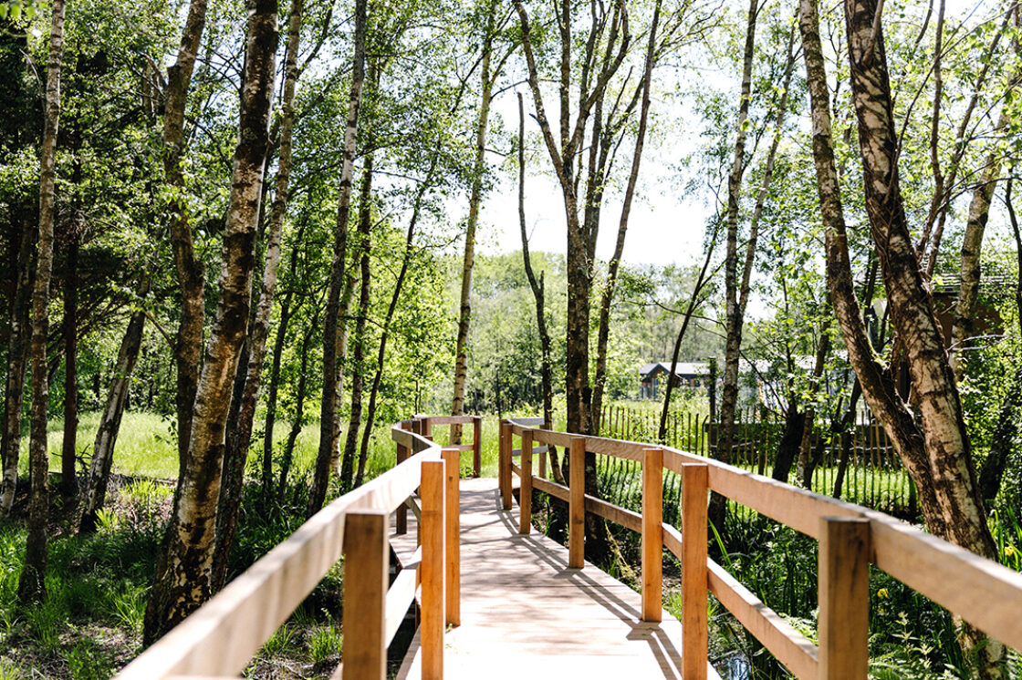 Book A Luxury UK Holiday for 2026 | Lovat Parks