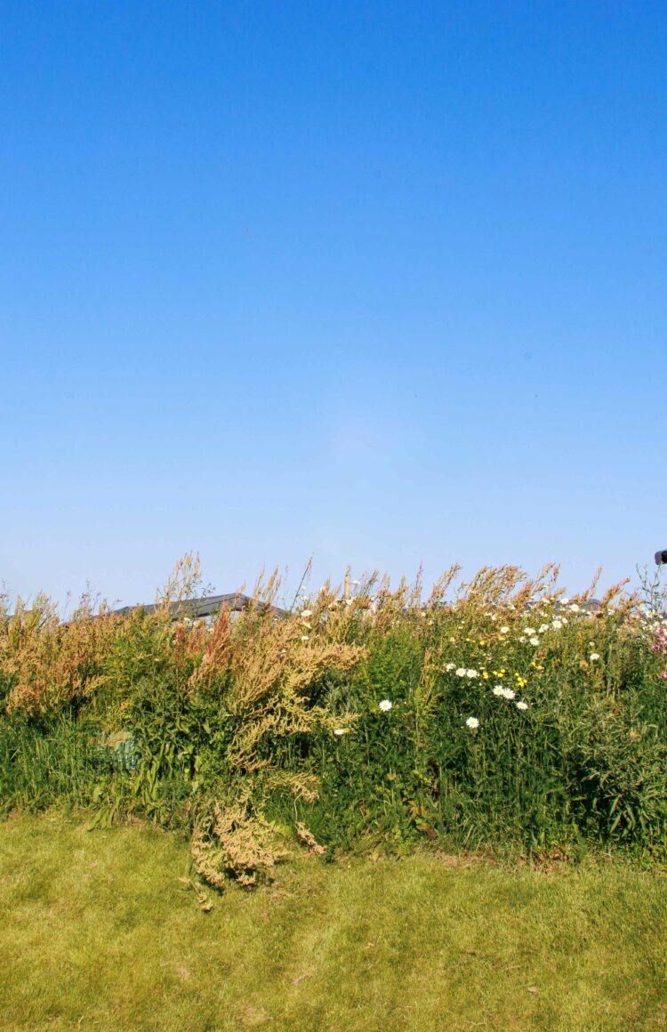 Book A Luxury Lodge Holiday for 2026 | Lovat Parks