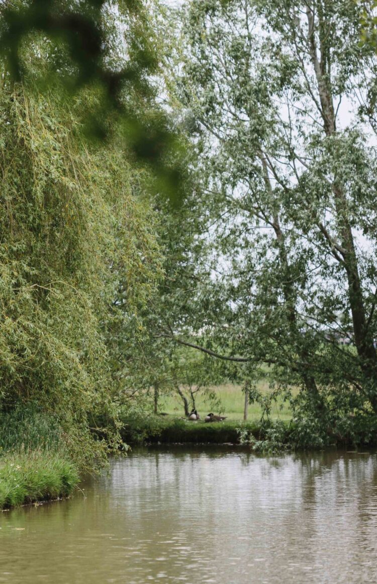 Luxury Fishing Holidays in the New Forest 2026